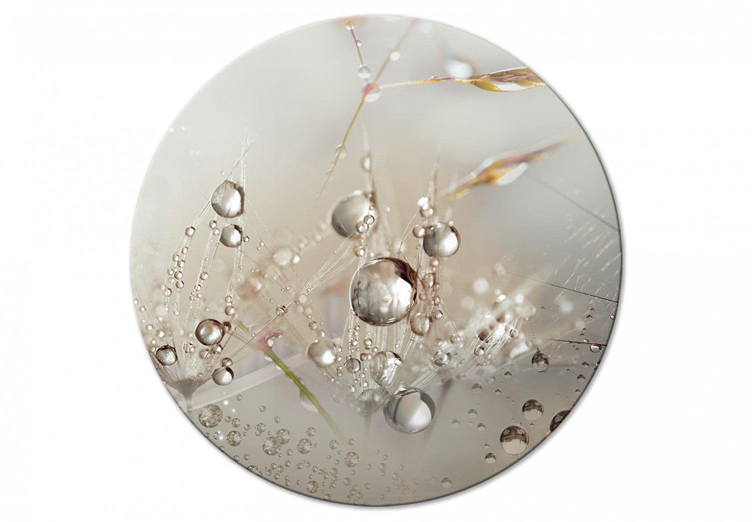 Round painting - dew drops - grass and dandelion in the rain - 148750 ...