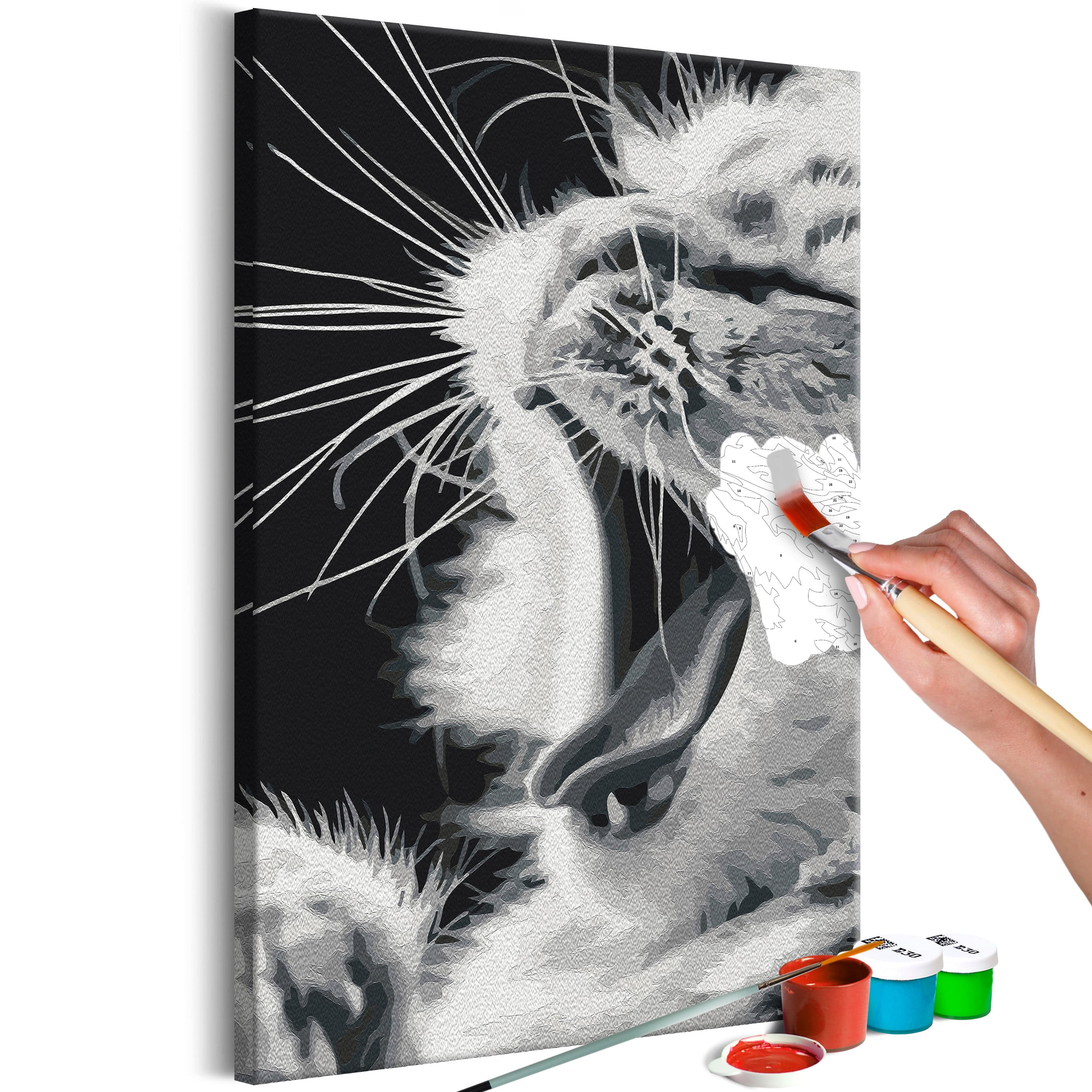 Canva on the canvas "paint after numbers" - Yawning Kitten 40x60 cm ...